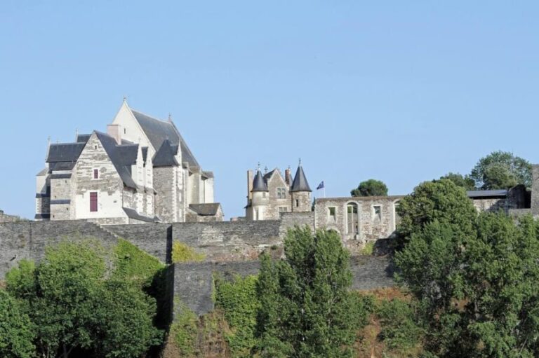Visit Château d'Angers and wine tasting - Lunch in a Regional Restaurant