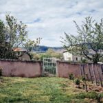 Visit : Château du Moulin-à-Vent, a History of Terroirs! - What Makes This Tour Stand Out