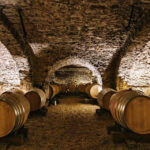 Visit : From Château des Thorins to Château du Moulin-à-Vent - Introduction to the Experience