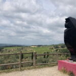 Visit Of The Chianti Classico And The Tuscan Countryside - The Value of This Experience