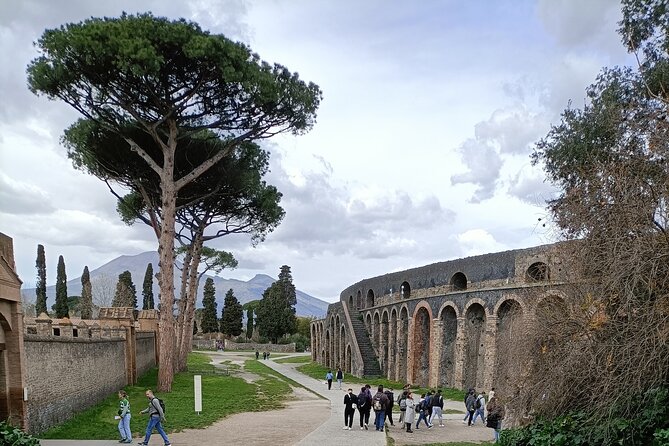 Visit Pompeii Sorrento Positano - Overview of the Experience