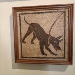 Visit the Museum MANN with a professional guide - In-Depth Breakdown of the Itinerary