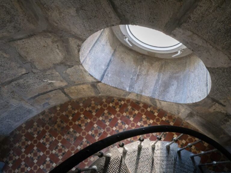 Visit the Palos Faro - Deep Dive into the Experience