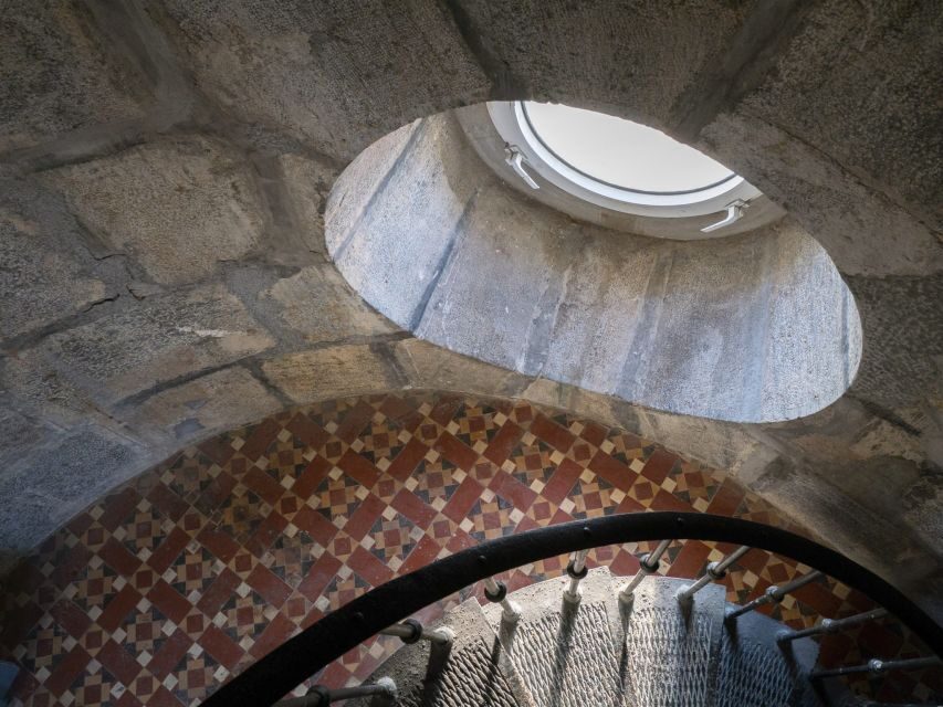 Visit the Palos Faro - Deep Dive into the Experience