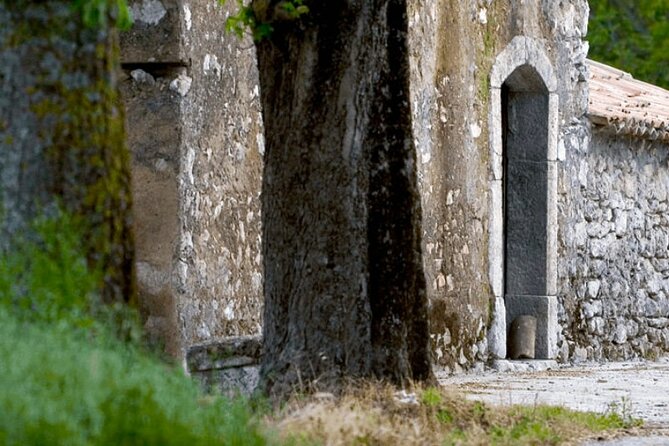 Visit to the cellar at the Feudi di San Gregorio da Sorrento - What to Expect from Your Visit to Feudi di San Gregorio