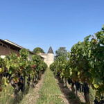 Visit to the property and wine/cheese pairing workshop - Why This Tour Is Worth Considering