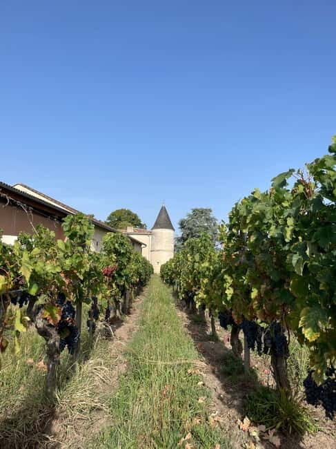 Visit to the property and wine/cheese pairing workshop - Why This Tour Is Worth Considering