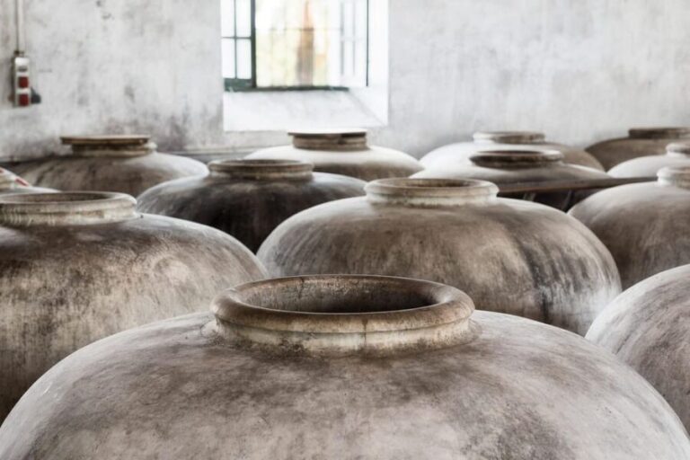 VISITA GUIADA ALMAZARA DE ACEITE Y BODEGA - Why This Tour Offers Great Value