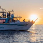 Visite en bateau Coucher de soleil Sites classés et baignade - Exploring the Itinerary & Experience in Detail