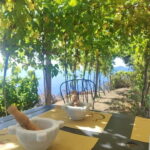 Volastra: BarCa Wine Tasting in Cinque Terre and Pesto Class - What Makes This Tour Stand Out?