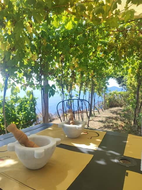 Volastra: BarCa Wine Tasting in Cinque Terre and Pesto Class - What Makes This Tour Stand Out?
