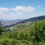 Volos: Cook Like a Local at a Greek Farm - Authenticity and Experience Quality