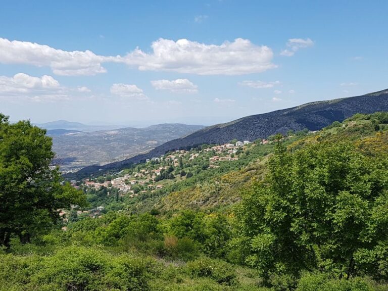 Volos: Cook Like a Local at a Greek Farm - Authenticity and Experience Quality