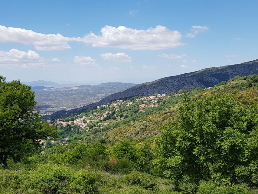 Volos: Cook Like a Local at a Greek Farm - Authenticity and Experience Quality