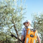 Volterra - Olive oil tasting with lunch or dinner - An In-Depth Look at the Experience