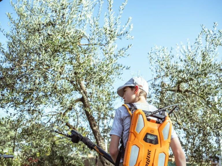 Volterra - Olive oil tasting with lunch or dinner - An In-Depth Look at the Experience