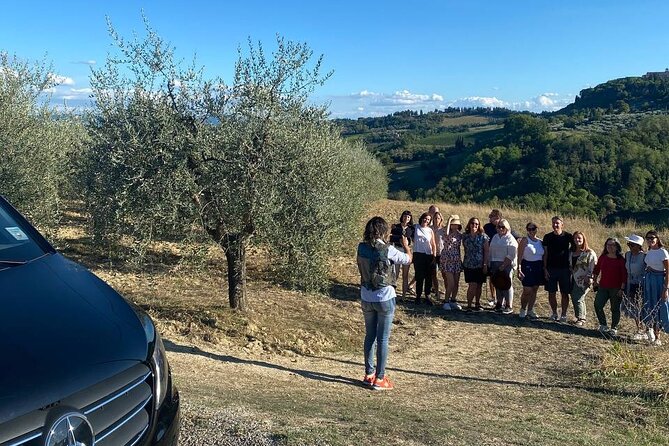 Volterra Tour + Salt Mine by van from Lucca, Pisa or Livorno Port - Key Points