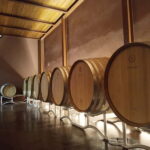 Volterra: Winery Guided Tour and Experience with Tasting - Detailed Breakdown of the Tour
