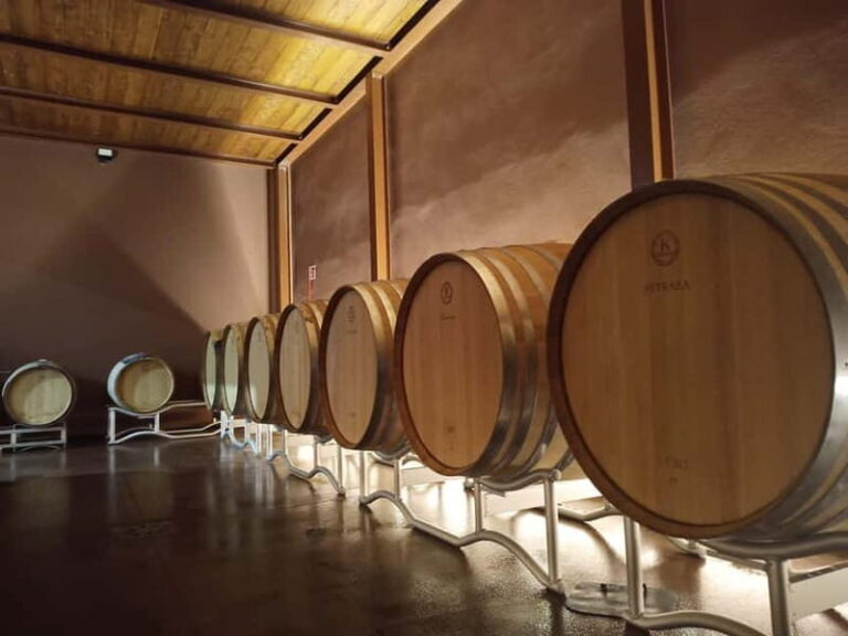 Volterra: Winery Guided Tour and Experience with Tasting - Detailed Breakdown of the Tour