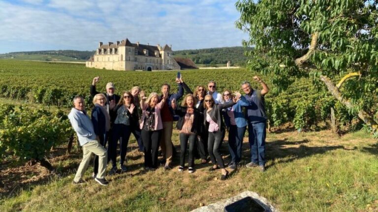 Vosne-Romanée: Private Vineyards Walking Tour with Tasting - What the Tour Entails: A Step-by-Step Breakdown