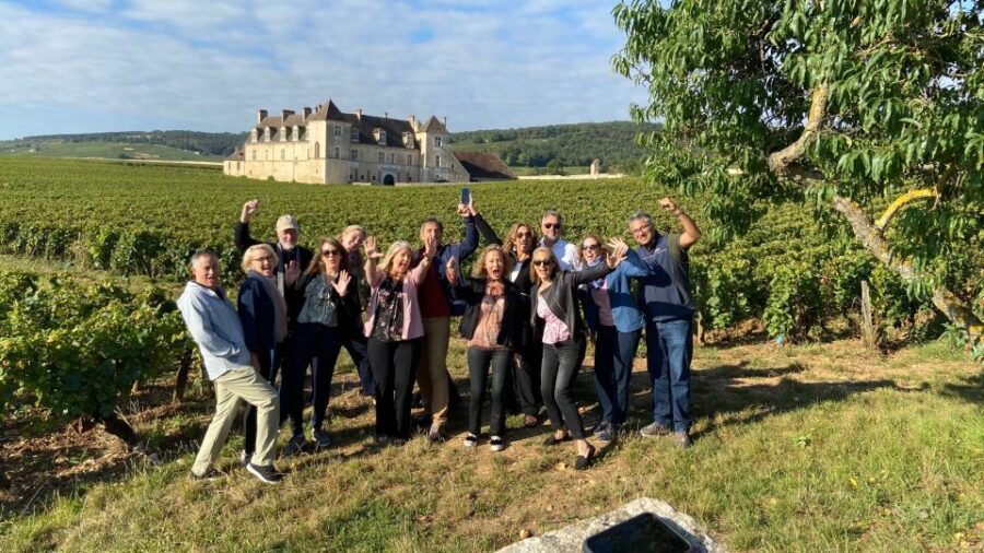 Vosne-Romanée: Private Vineyards Walking Tour with Tasting - What the Tour Entails: A Step-by-Step Breakdown