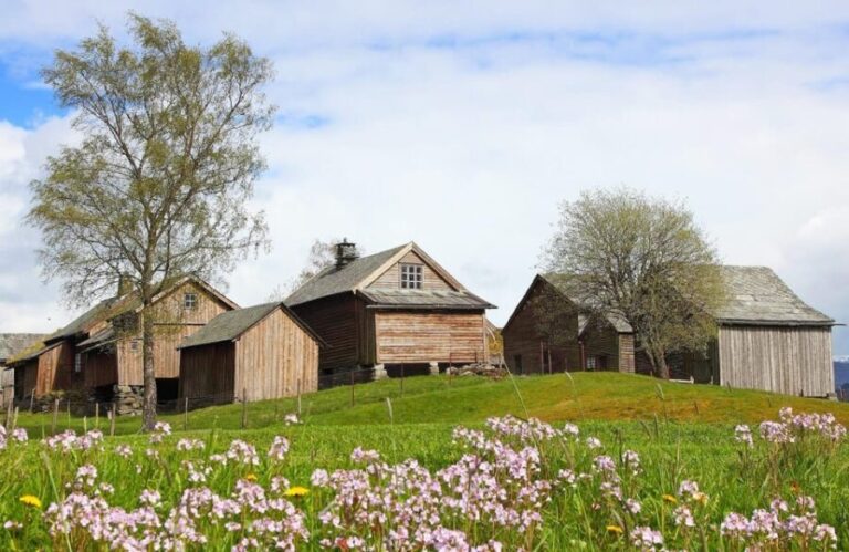 Voss: Folk Museum Entry Ticket - The Sum Up: Is the Voss Folk Museum Worth It?