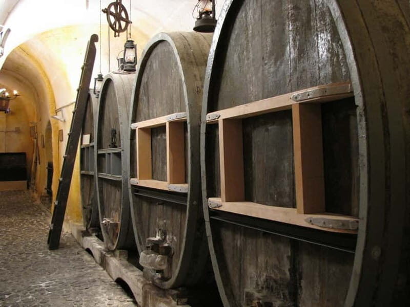 Vothonas: Wine Museum Ticket with Tastings and Audio Guide - Final thoughts: Who Should Consider This Experience?