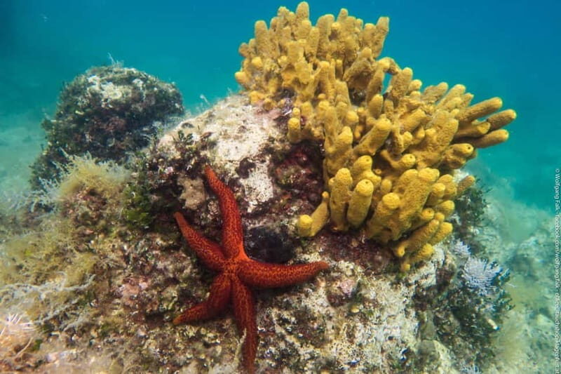 Vrsar: Try out diving including full equipment - An honest look at what to expect in Vrsar’s diving experience