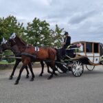 Wachau porcelain carriage A sparkling carriage ride through the vineyards - The Culinary Touch: Sparkling Wine and Fresh Sandwiches