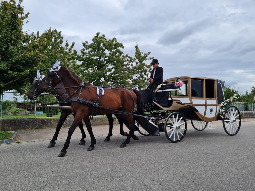 Wachau porcelain carriage A sparkling carriage ride through the vineyards - The Culinary Touch: Sparkling Wine and Fresh Sandwiches