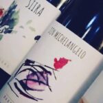 Walk among the rows of vineyards and wine tasting - Why this tour stands out