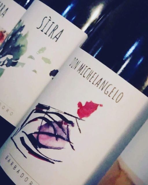 Walk among the rows of vineyards and wine tasting - Why this tour stands out
