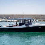 Walk and dolphin watching in Fuengirola + 1 drink - Why We Love This Tour (and Why You Might Too)