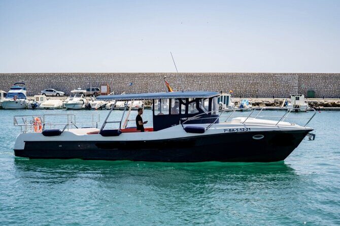 Walk and dolphin watching in Fuengirola + 1 drink - Why We Love This Tour (and Why You Might Too)