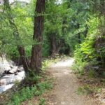 Walk on Artemis trail and in Old Kakopetria - Exploring the Artemis Trail: Cyprus’s Highest Hiking Path