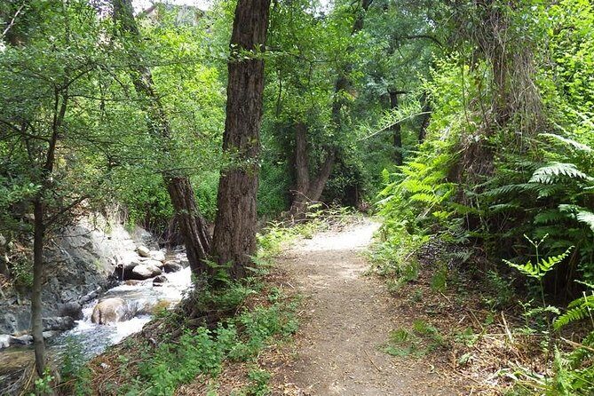 Walk on Artemis trail and in Old Kakopetria - Exploring the Artemis Trail: Cyprus’s Highest Hiking Path