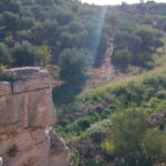 Walk through Lama S.Croce: Between Trulli and Olive Trees - The Mystical Menhirs and Wooden Sculptures