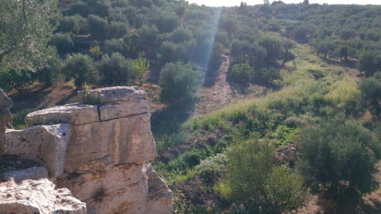 Walk through Lama S.Croce: Between Trulli and Olive Trees - The Mystical Menhirs and Wooden Sculptures