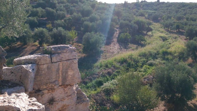 Walk through Lama S.Croce: Between Trulli and Olive Trees - The Mystical Menhirs and Wooden Sculptures