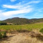 Walk through our vineyard and aperitif - Detailed Breakdown of the Itinerary