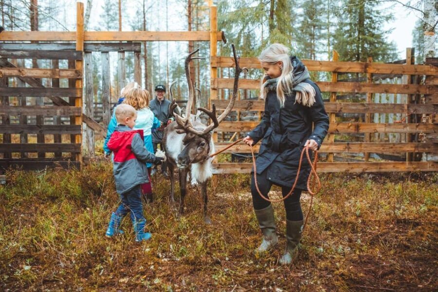 Walk with Reindeer - Final Thoughts