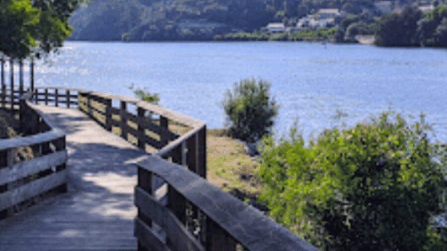 Walk with strangers - Douro Landscapes - Detailed Breakdown of the Itinerary