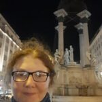 Walking on the historical trail of Viennese Christmas Trees - What’s Included and What’s Not