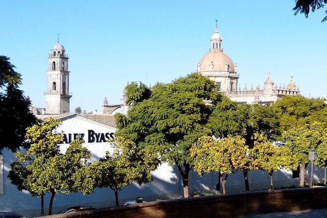 Walking tour in Jerez - Key Points: