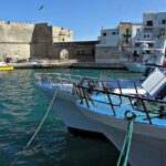 Walking tour in the wonderful Monopoli: Nice cosy Italian old town - A Closer Look at the Itinerary