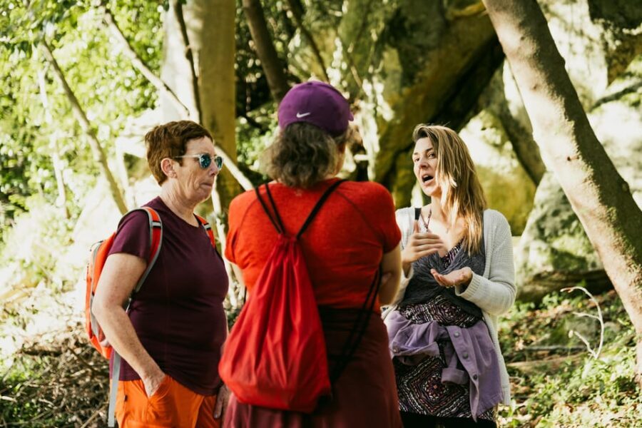 Walking tour:Pena Palace, Moorish Castle,Quinta da Regaleira - The Value of This Tour