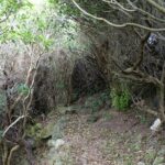 Walking Trails of Terceira - Authentic Reviews and This Tour’s Highlights
