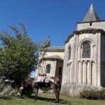 Walks and hikes with donkeys - The Sum Up