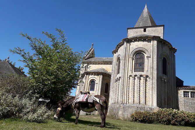 Walks and hikes with donkeys - The Sum Up