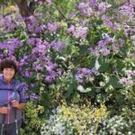 Wanderungen im grünen Gran Canaria - What Sets This Tour Apart?